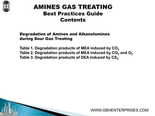 Amine Gas Treating Unit - Best Practices - Troubleshooting Guide | PDF
