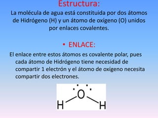 Agua | PPTX