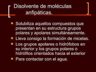 Agua | PPT
