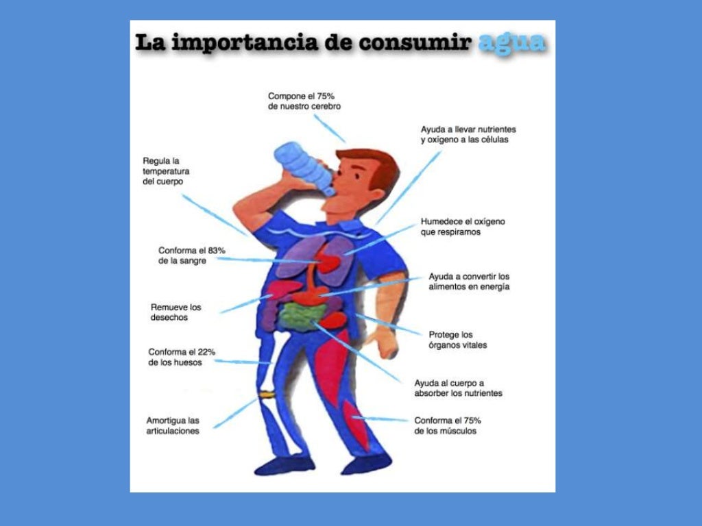 Agua. el mayor nutriente