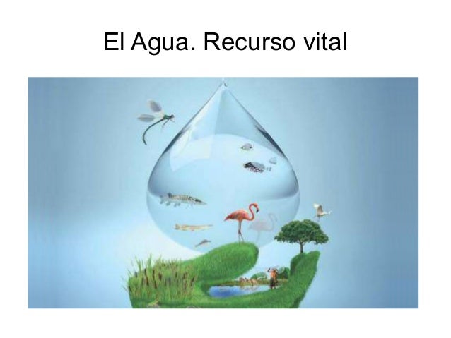 Agua. Recurso Natural