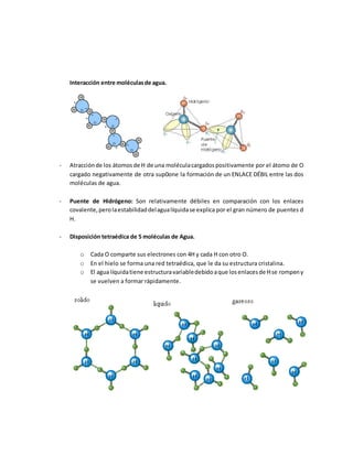 Agua - Apuntes Bioquímica Devlin | DOCX