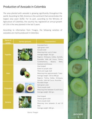 Hass avocado indistry in Colombia - Procolombia 2018 | PDF