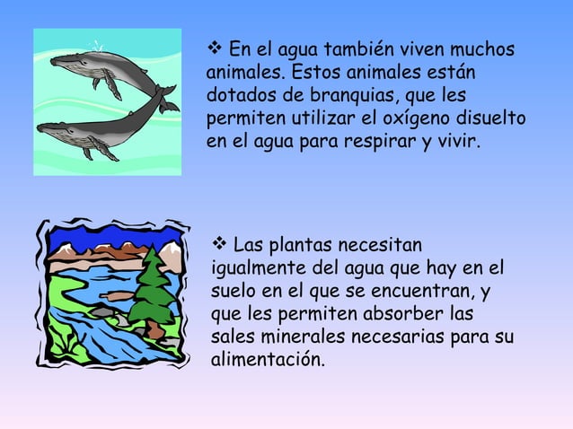 Agua Es Vida | PPT