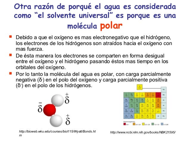 Por Que El Agua Es Un Solvente Universal - abstractor