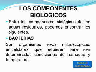 Aguas residuales | PPTX