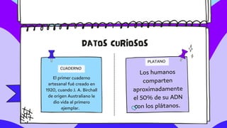 Agua Virtual En los productos de la vida cotidiana | PDF