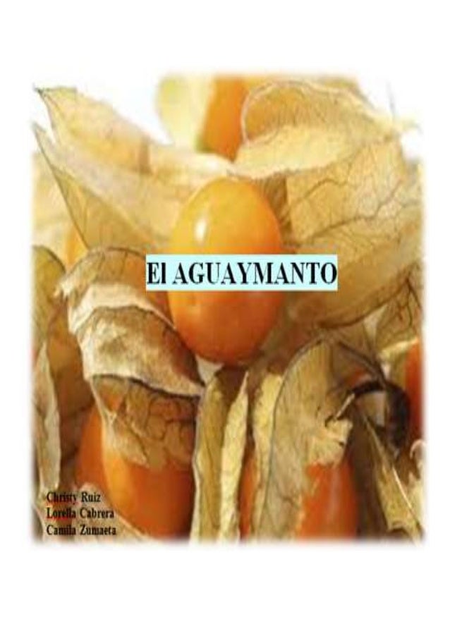 Aguaymanto (2)