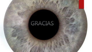 Agudeza visual | PPTX