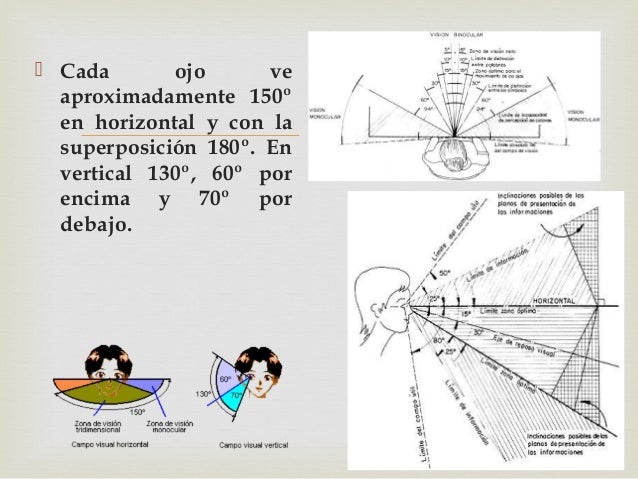 Agudeza y campo visual