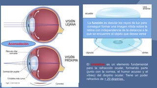 Patologias oftalmicas del Cristalino umsss | PPTX