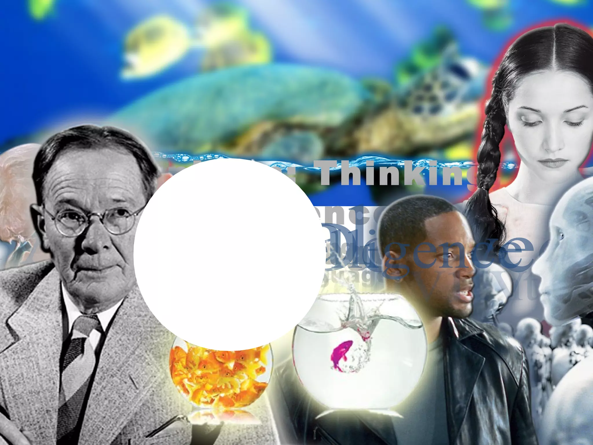 Aguiar ap cognition thinking problem_solving_creativity_language | PPT ...