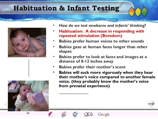 Aguiar AP Development