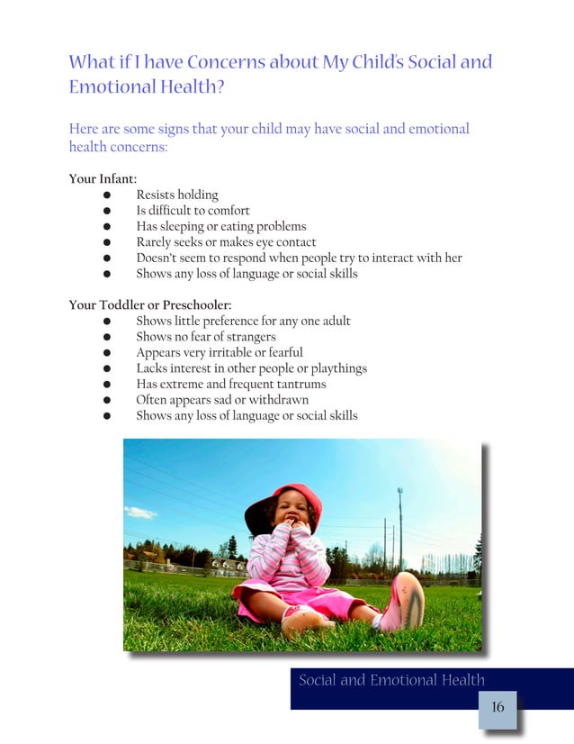 Social Emotional Health: A Guide for Families with Children Birth to ...
