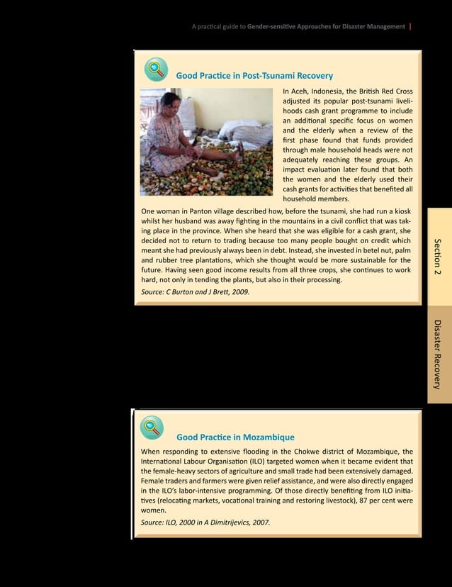 A guide for gender sensitive approach to dm | PDF