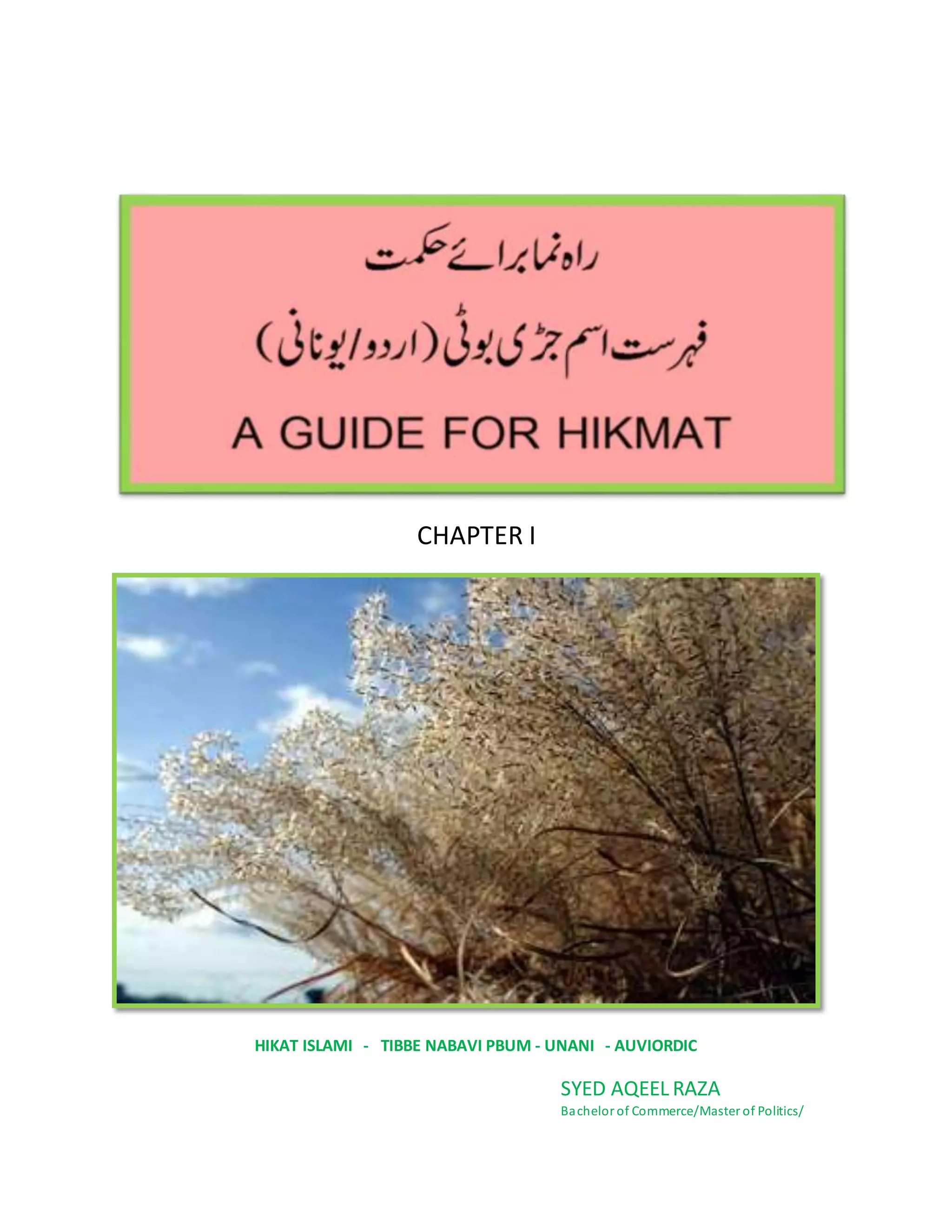 A guide for Hikmat | DOCX