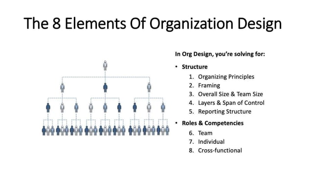A Guideline for Organizational Design.pdf