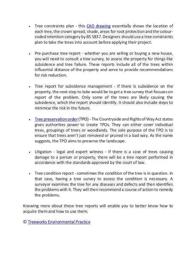 A Guide on Different Tree Reports and Their Purpose