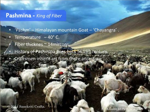 A guide on pashmina | PPT