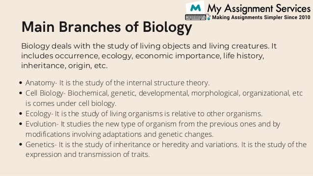 A guide on the basics of biology! | PPT