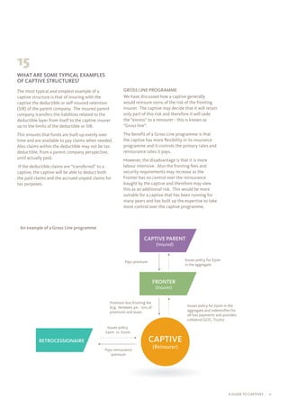 A Guide to Captives | PDF