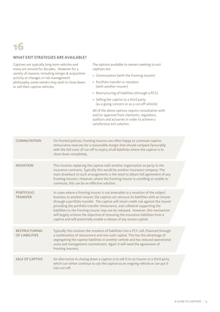 A Guide to Captives | PDF