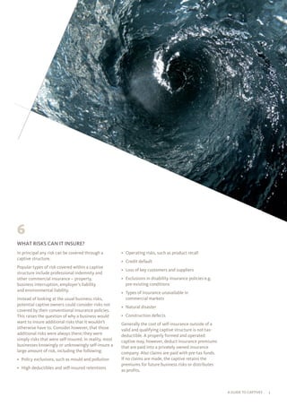 A Guide to Captives | PDF