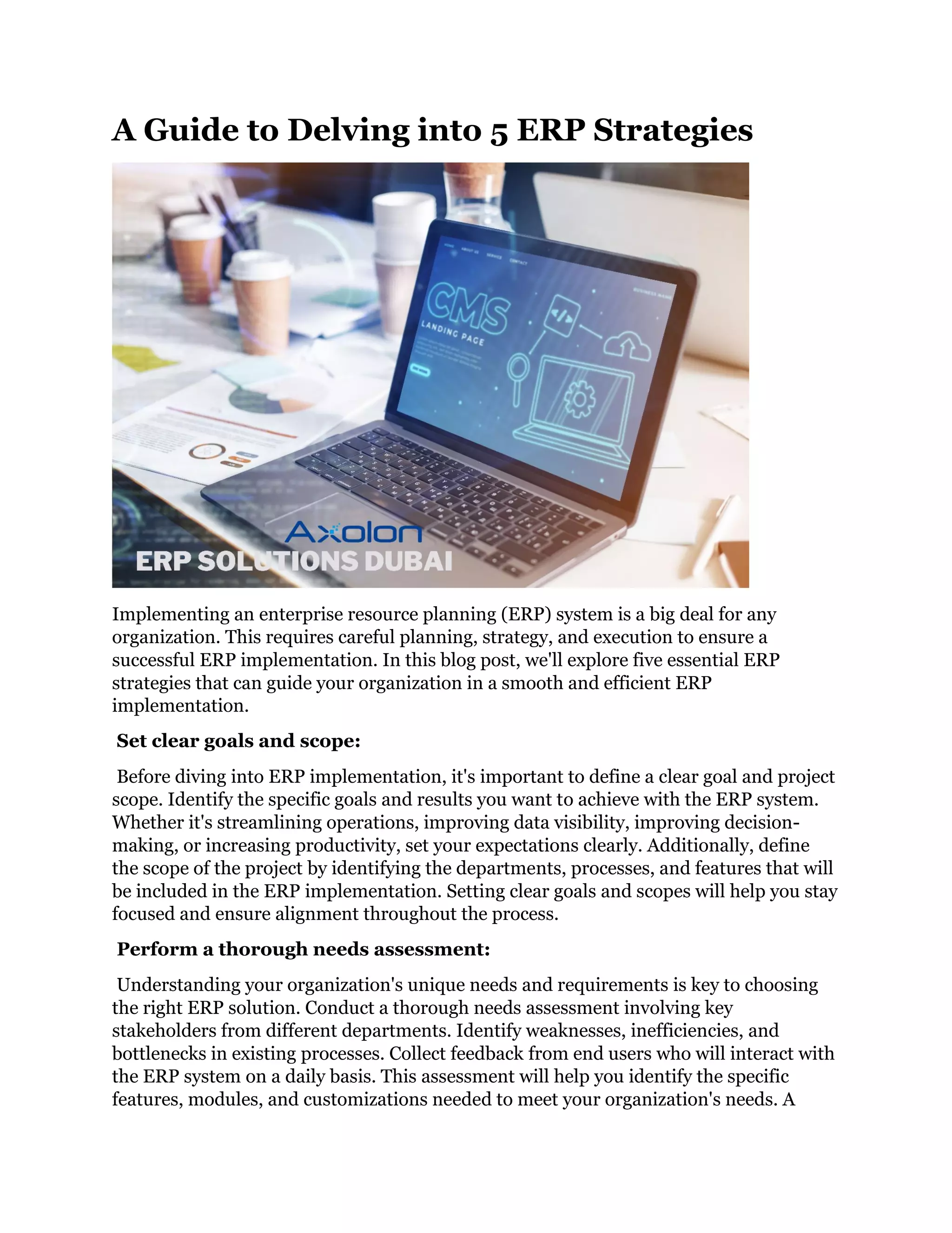 A Guide to Delving into 5 ERP Strategies.pdf