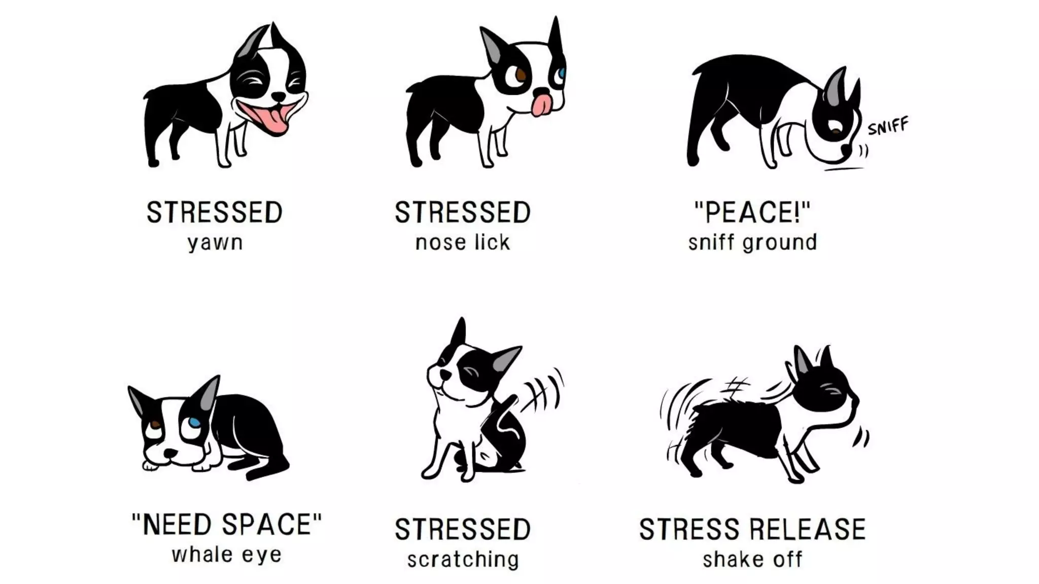 Understand your Dogs Behavior & Body Language | PDF