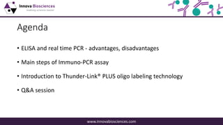 A Guide to Immuno-PCR | PDF