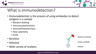 A Guide to Immuno-PCR | PDF