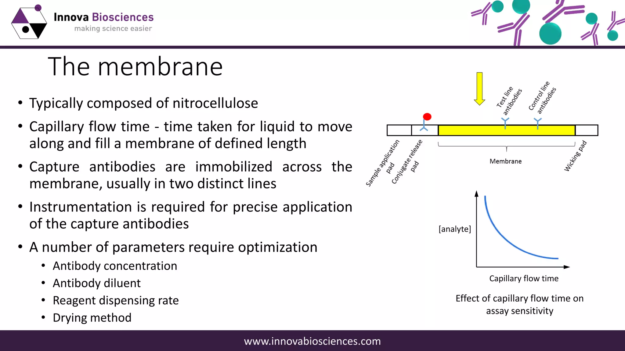 A guide to lateral flow immunoassay development | PDF