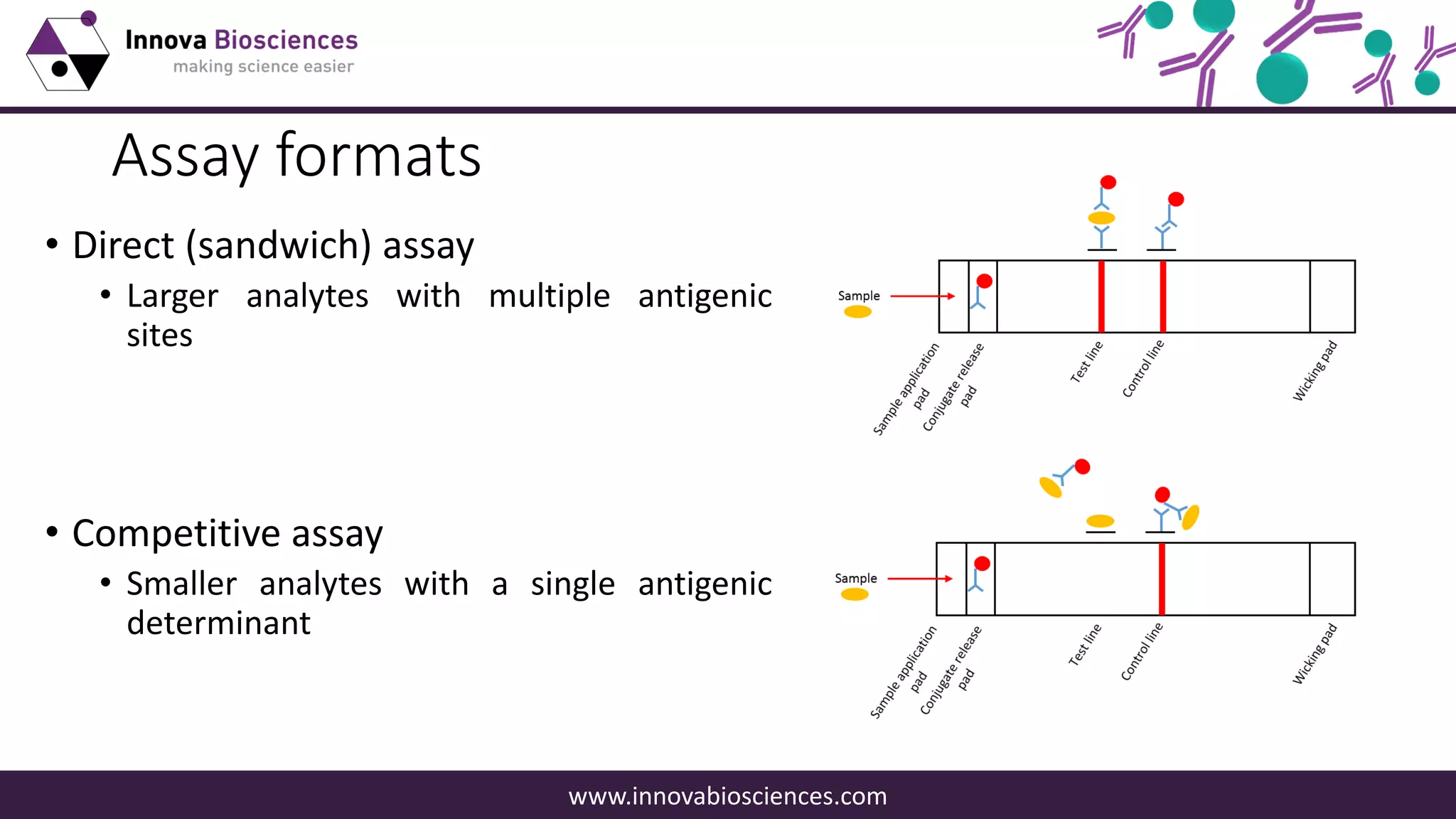 A guide to lateral flow immunoassay development | PDF