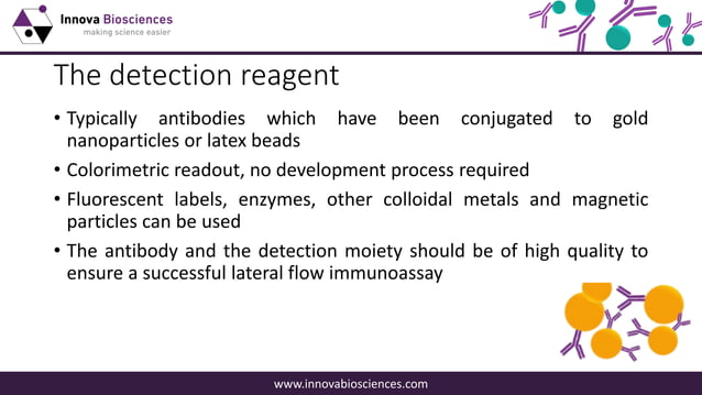 A guide to lateral flow immunoassay development | PDF