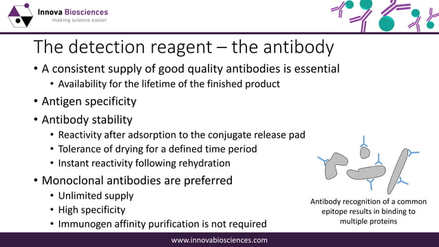 A guide to lateral flow immunoassay development | PDF