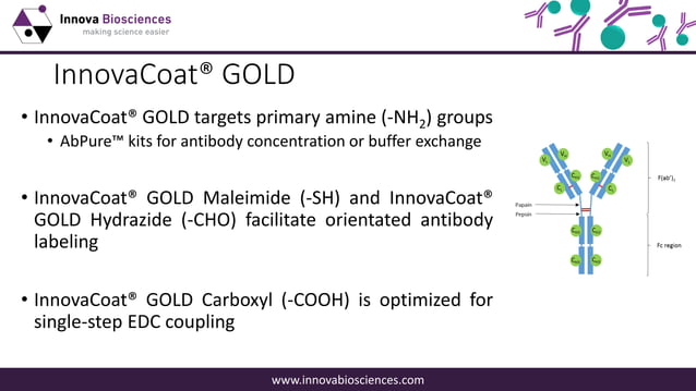 A guide to lateral flow immunoassay development | PDF