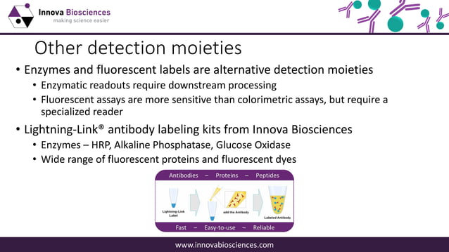 A guide to lateral flow immunoassay development | PDF