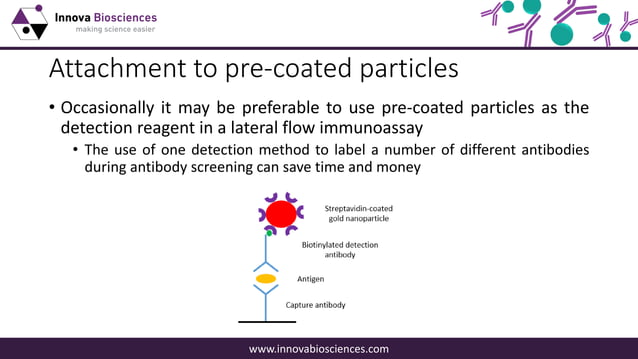 A guide to lateral flow immunoassay development | PDF