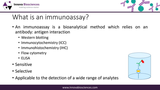 A guide to lateral flow immunoassay development | PDF