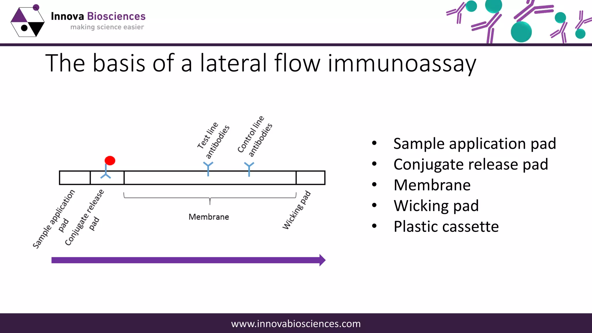 A guide to lateral flow immunoassay development | PDF