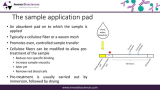 A guide to lateral flow immunoassay development | PDF