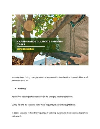 A Guide to Nurturing Trees Through Changing Seasons.pdf