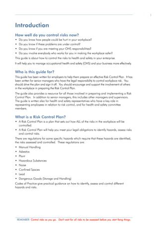 A Guide to Risk Control Plans | PDF