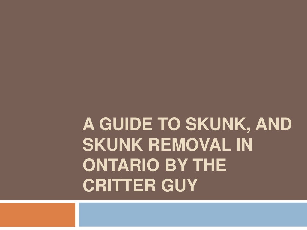 A Guide To Skunk, And Skunk Removal In Ontario By The Critter Guy | PPT