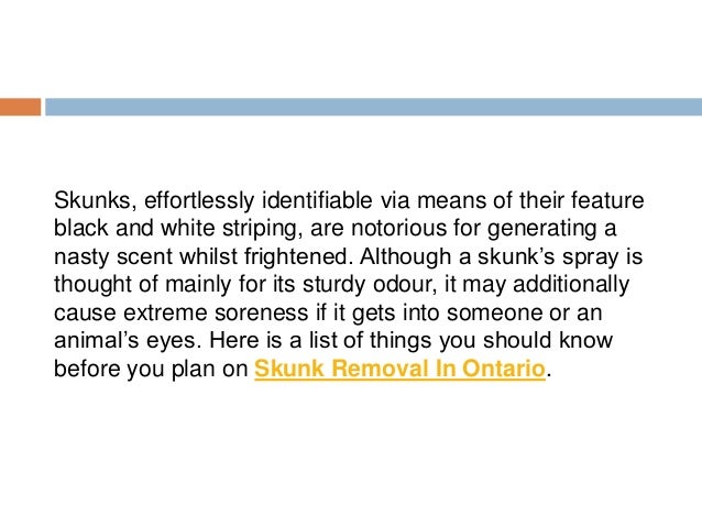 A Guide To Skunk, And Skunk Removal In Ontario By The Critter Guy | PPT