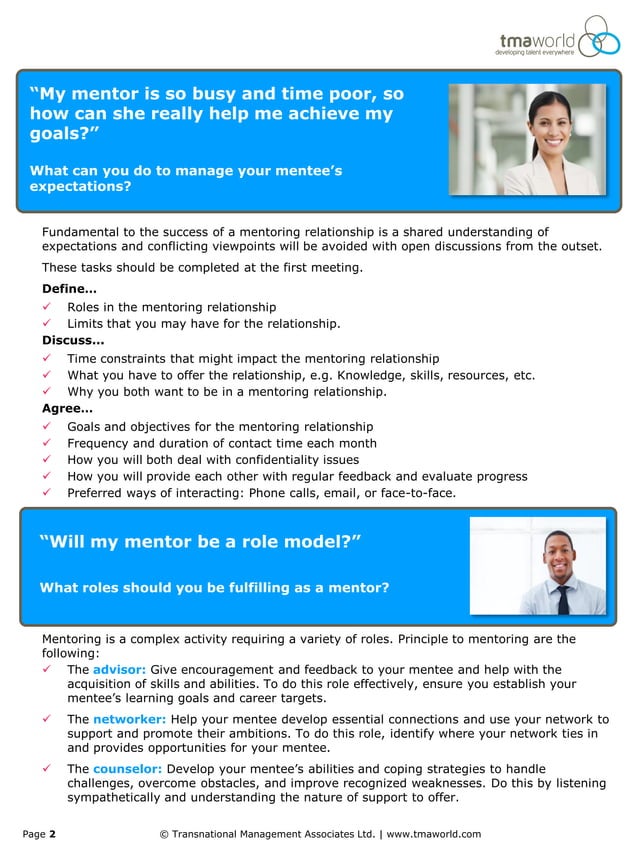 A Guide to Strategic Mentoring | PDF