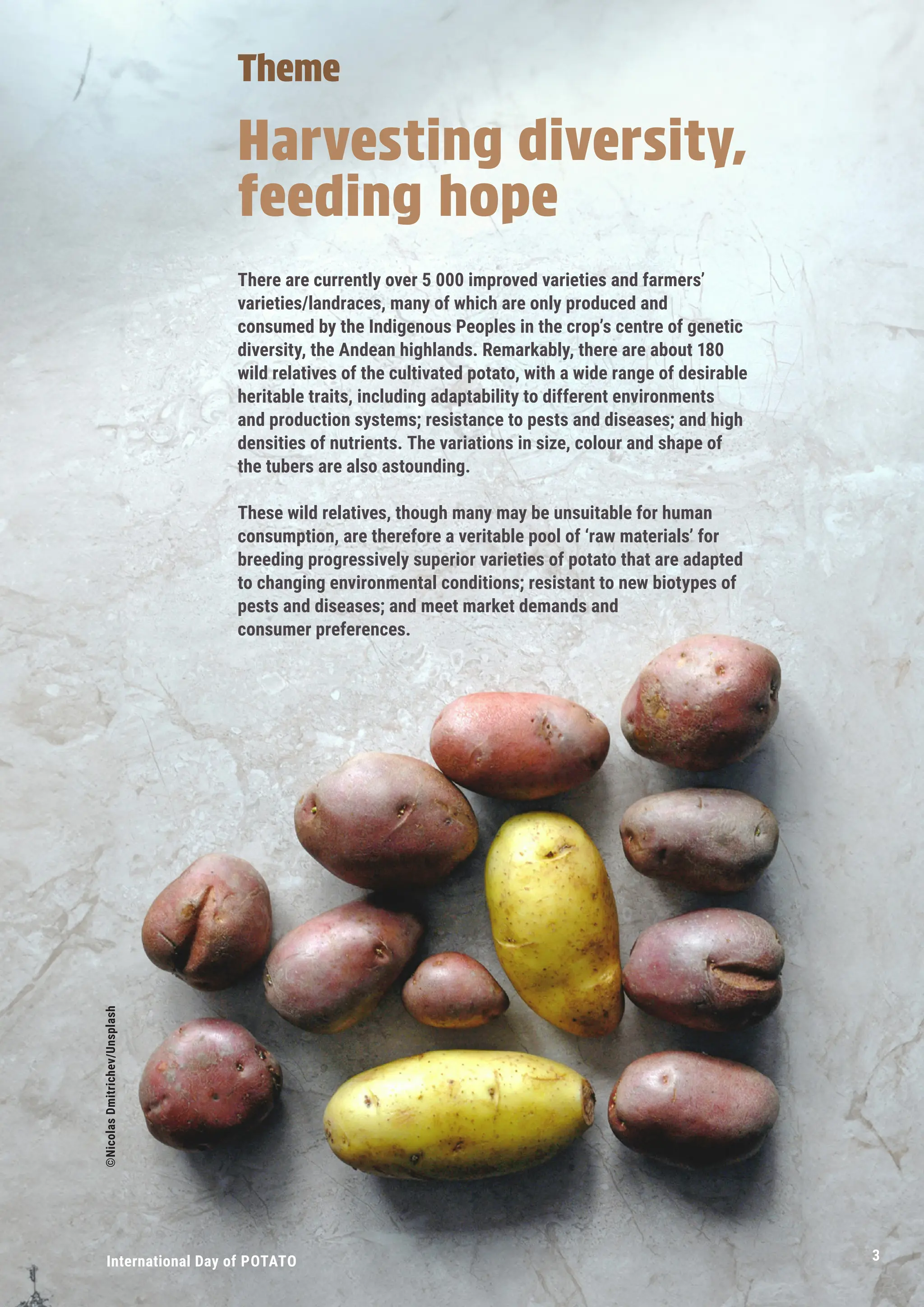 A guide to the International day of Potatoes 2024 - May 30th | PDF