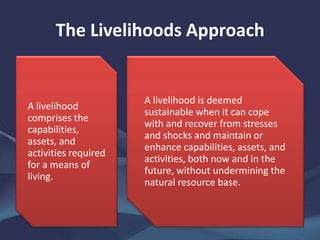 A Guide to the Livelihoods Framework | PPTX
