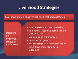 A Guide to the Livelihoods Framework | PPTX