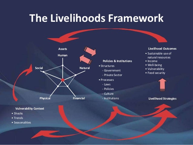 A Guide to the Livelihoods Framework